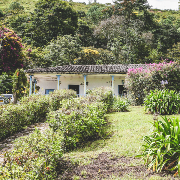 Single Origin, Small Batch & Micro Lot Coffee, Solar Power Roasted ...