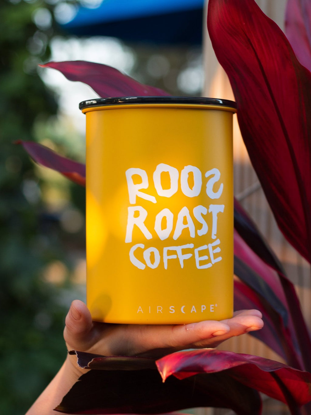 1 LB Airscape Coffee Bean Storage Canister with Iconic RoosRoast Logo